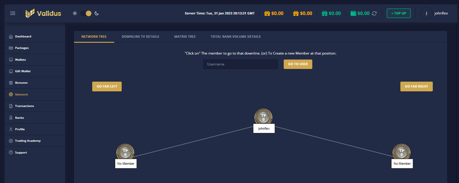 Validus : nous avons testé le nouveau MLM de trading. Notre avis ...
